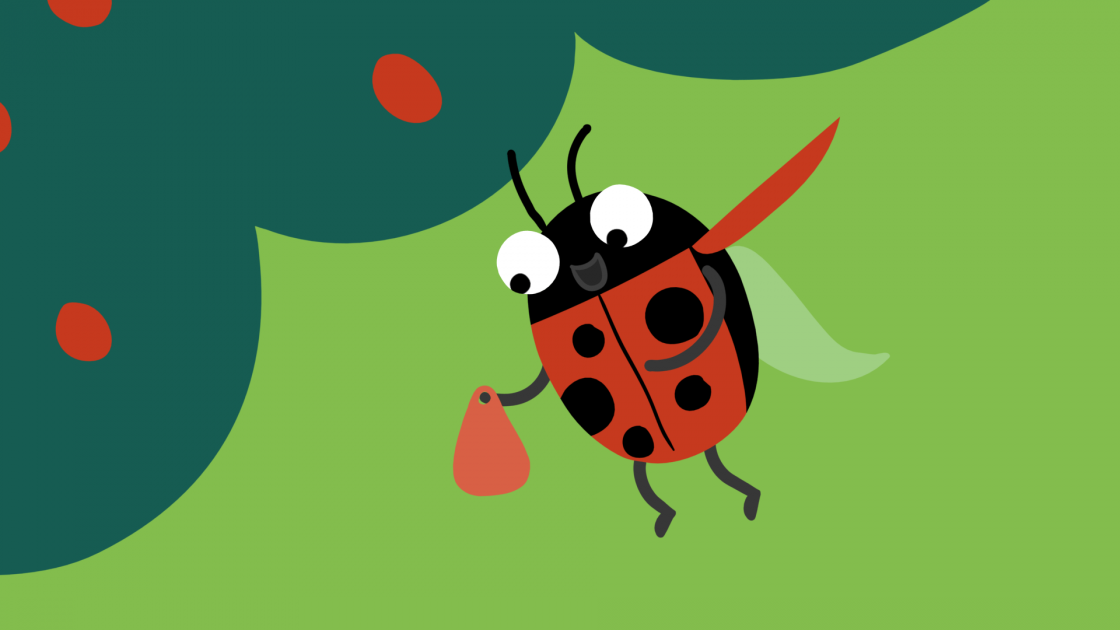 Animanimals - S2E9 - Ladybird | Knowledge Kids