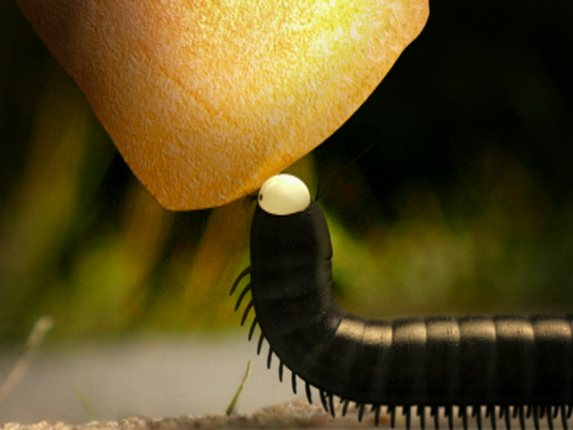 Minuscule - S1E46 - A Cruel World | Knowledge Kids