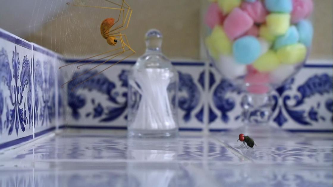 Minuscule S2e46 Brushing Knowledge Kids