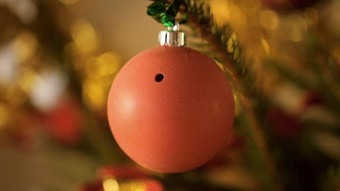Minuscule - S3E4 - A Christmas Apple | Knowledge Kids
